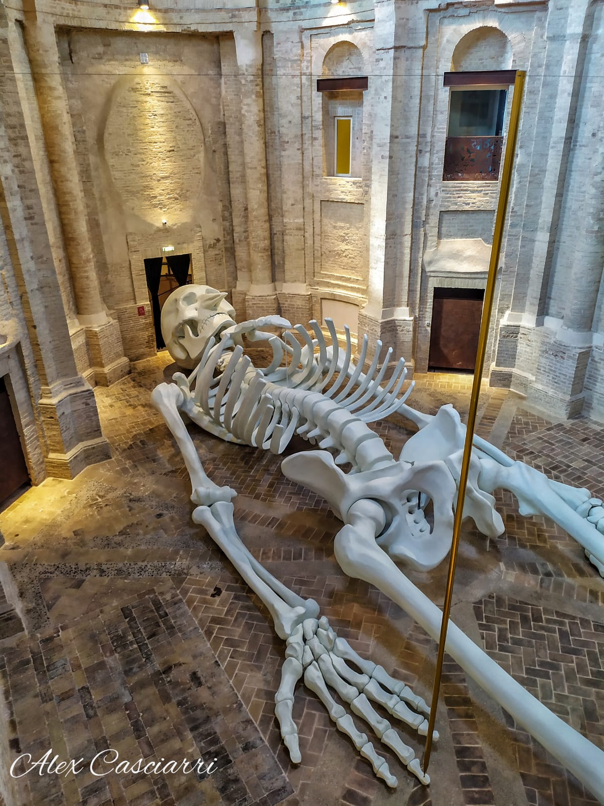 Calamita Cosmica, il gigantesco scheletro del mistero - Ostello di Foligno