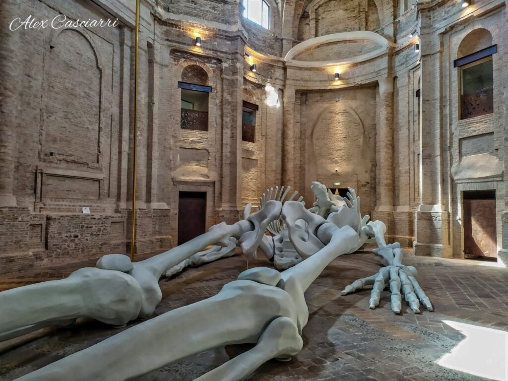 Calamita Cosmica, il gigantesco scheletro del mistero - Ostello di Foligno