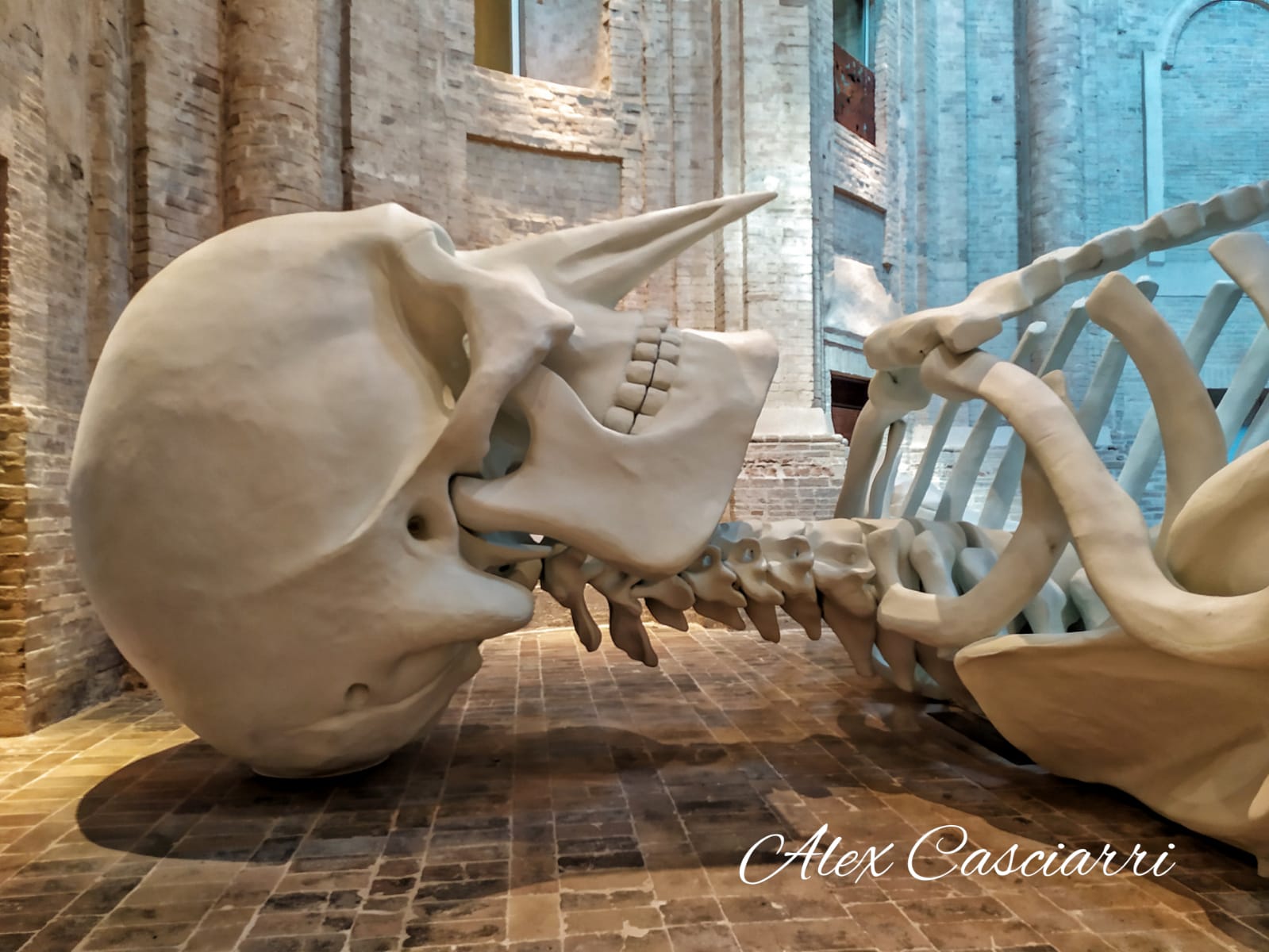 Calamita Cosmica, il gigantesco scheletro del mistero - Ostello di Foligno